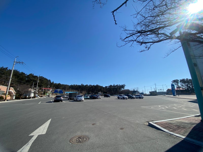 뭍닭섬 And 만리포해수욕장전망타워 이른 봄날 태안 해변길 서해랑길 산책 네이버 블로그