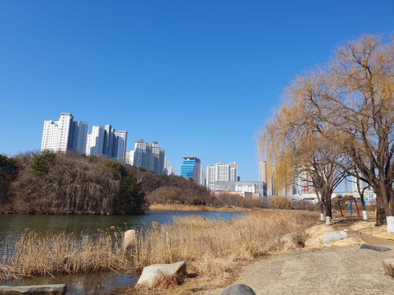 일산이미지가 바뀔까 일산시리즈 1편문촌마을16단지 뉴삼익아파트 임장 네이버 블로그