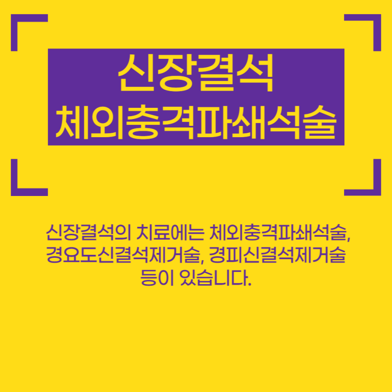 신장결석의 체외충격파쇄석술 수술적인 치료의 장점과 단점 네이버 블로그