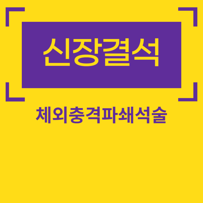 신장결석의 체외충격파쇄석술 수술적인 치료의 장점과 단점 네이버 블로그