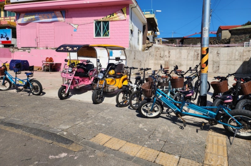 제주도애견동반여행 우도 전기차 가격 예약 면허 나이 정보 공유 우도 더블유 전기차 후기 우도가볼만한곳 네이버 블로그