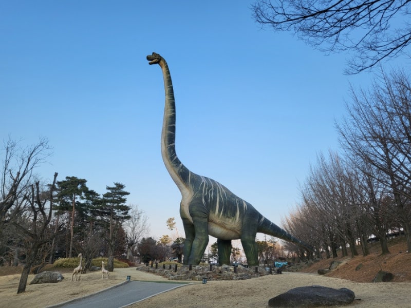 대구 근처 아이와 가볼 만한 곳 칠곡 가산수피아 공룡 공원 알파카 먹이주기 체험 가능 네이버 블로그