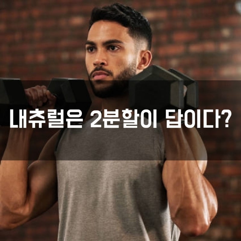 헬스 2분할 루틴 일반인에게 좋은이유 네이버 블로그