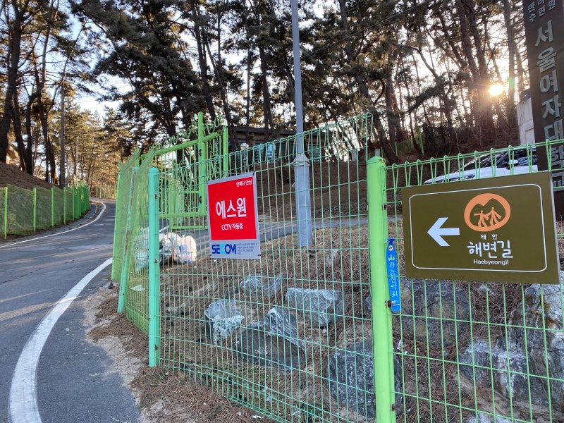 뭍닭섬 And 만리포해수욕장전망타워 이른 봄날 태안 해변길 서해랑길 산책 네이버 블로그