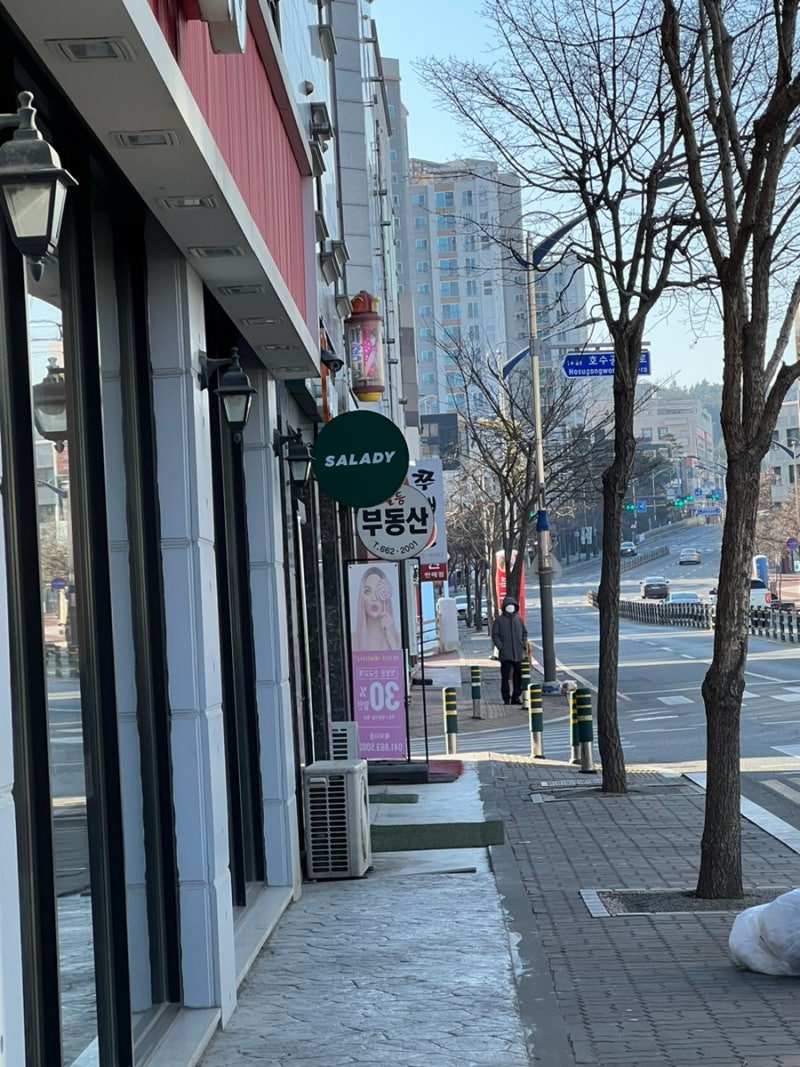 샐러드 맛집 샐러디 봄 신메뉴 바질치킨 랩 먹어봤어요 네이버 블로그