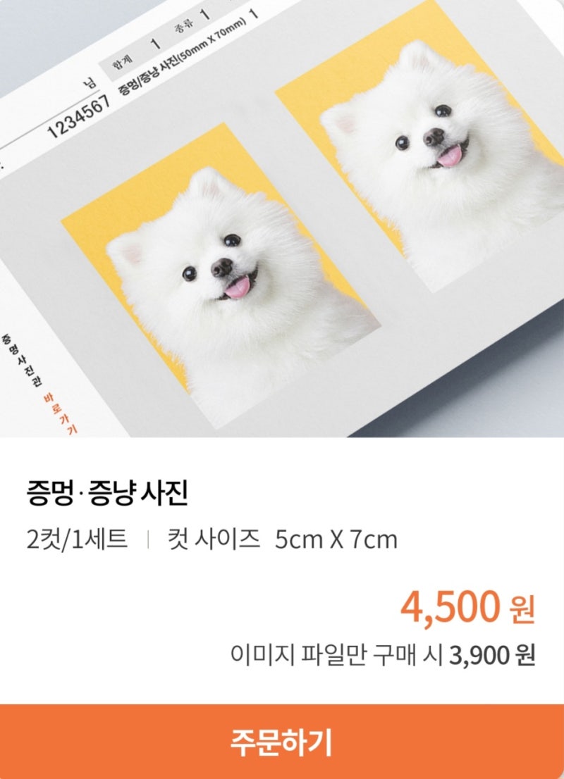 운전면허 갱신 방법 셀프증명사진 찍는 법 네이버 블로그