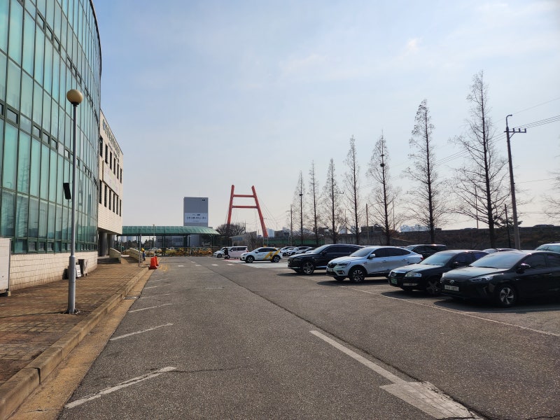 운전면허 갱신 방법 셀프증명사진 찍는 법 네이버 블로그