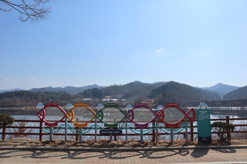 걷기 좋고 풍경이 멋진 강원도 횡성 가볼만한곳 횡성호수길 5코스가족길 네이버 블로그