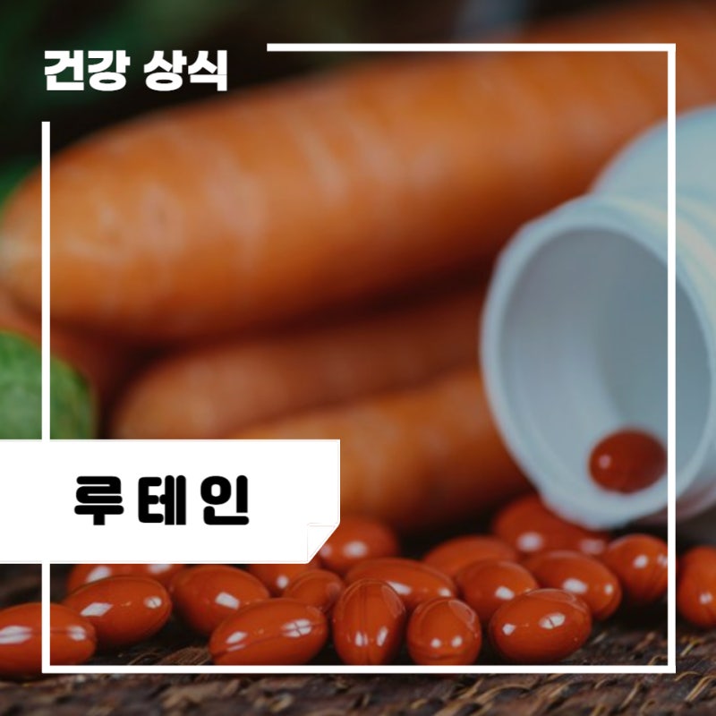 루테인 효능 5가지 및 부작용 복용법 고르는 법 지아잔틴 네이버 블로그