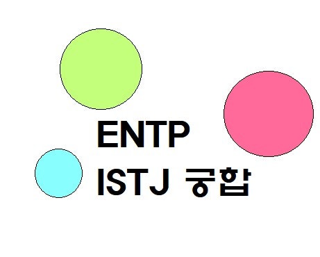 엔팁 잇티제 ENTP ISTJ 궁합 : 네이버 블로그