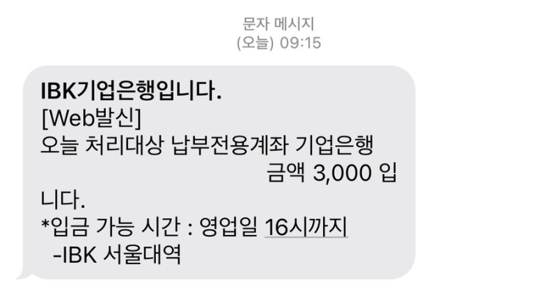 청년버팀목전세대출 Hf보증으로 전세 구하기 여정 ⓒ 2 전세 구하는 과정 타임라인대출 신청부터 대출 실행까지 그리고 이사