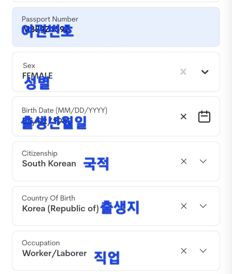 필리핀 세부 입국 준비물과 서류 이트레블 작성방법 네이버 블로그