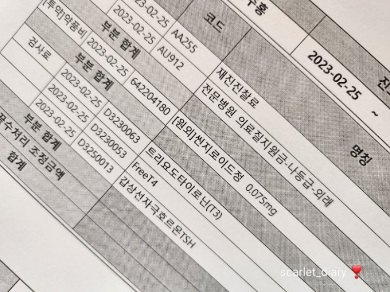 난임병원 임신 준비 배란유도제 먹는 약 정리 페마라듀파스톤다이아벡스신지로이드 네이버 블로그