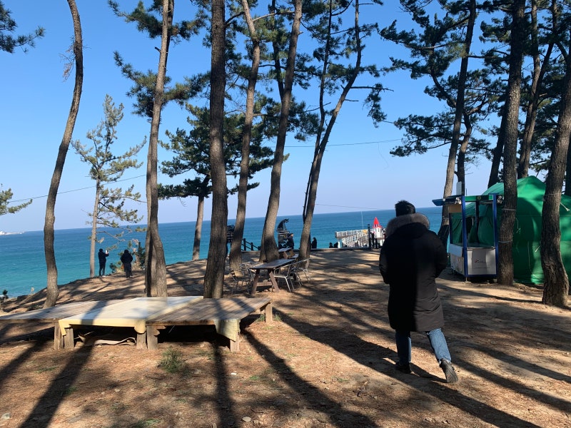 포항 당일치기 여행 이가리닻전망대 동굴 포토존 위치 네이버 블로그