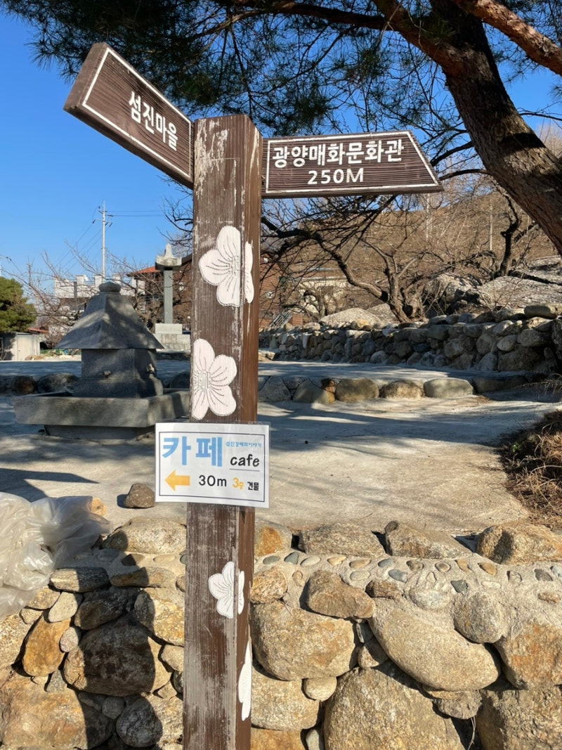 광양 매화마을 3월 첫주 개화 현황 홍쌍리 청매실농원 홍매화 주차 축제 여행 가볼만한 곳 네이버 블로그