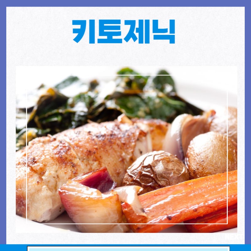 케톤 수치 케톤식 케톤체 케톤산증 식이요법 키토제닉 네이버 블로그