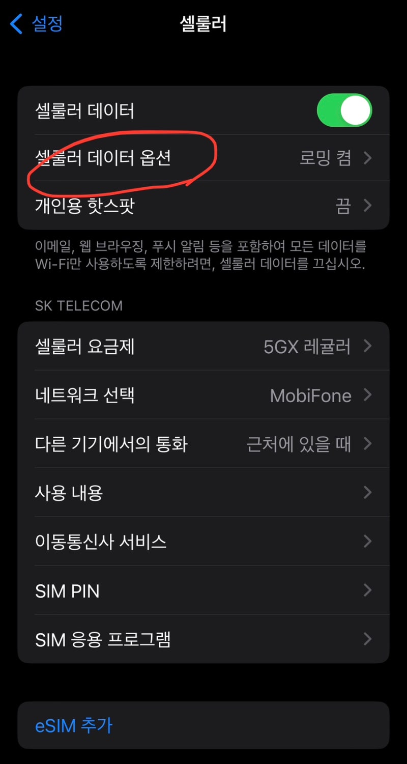베트남 다낭 유심 구입 로밍 가격비교와 장단점 정리 네이버 블로그
