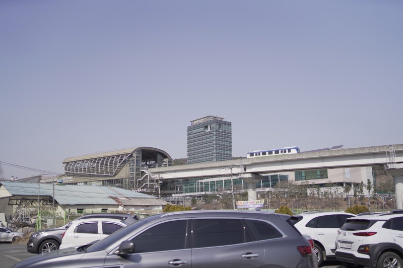 반사 필름식 신규 자동차 번호판 재발급 무료로 교체 방법 네이버 블로그