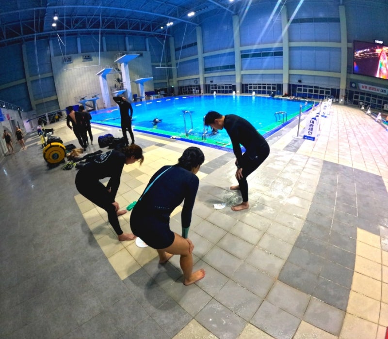 3월 7일 화 오후 3시 Lv3 과정 이론수업 In 비프리센터 비프리 대전 프리다이빙 네이버 블로그