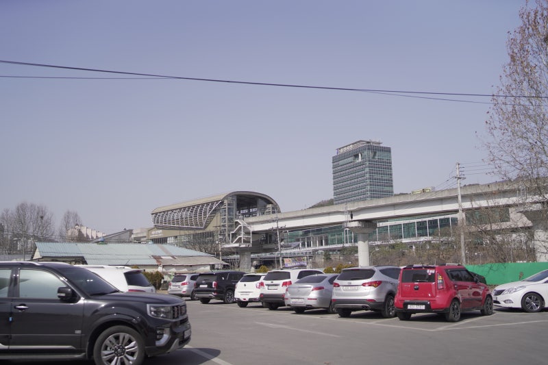 반사 필름식 신규 자동차 번호판 재발급 무료로 교체 방법 네이버 블로그