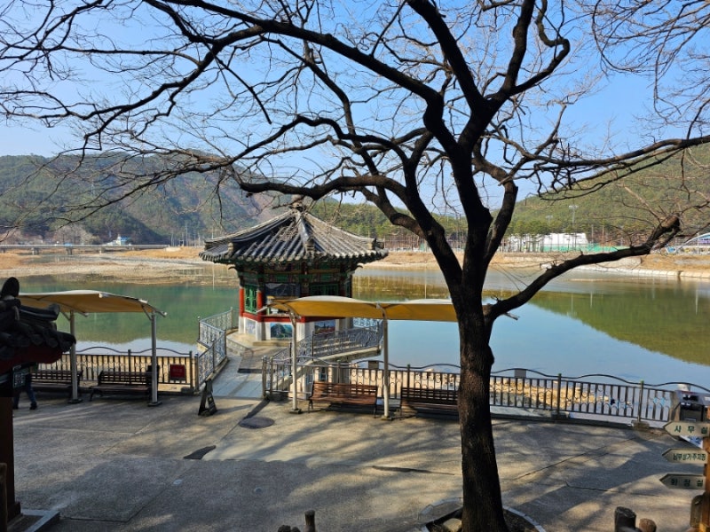 울진 여행 성류굴 입장료 관람 시간 주차 정보 네이버 블로그