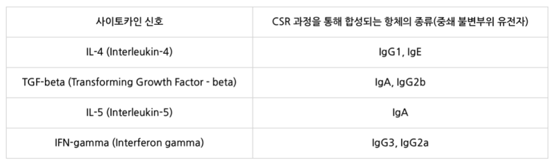 VDJ, CSR, SHM (B cell) 그리고 RAG, AID : 네이버 블로그