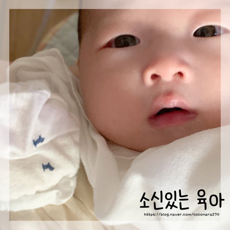 아기 신생아 분수토 원인 게워냄 구토 유문협착증 네이버 블로그