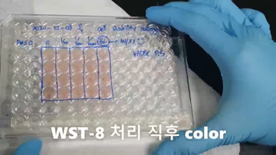 Cell viability Assay 원리와 Protocol 엑셀 작성법 포함 : 네이버 블로그
