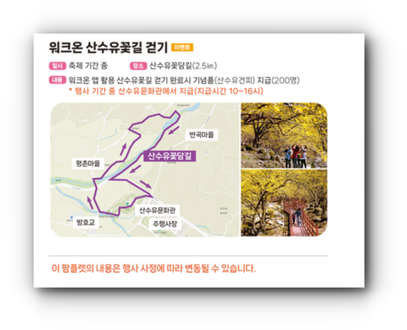 2023 구례 산수유축제 정보 개화시기 아이와 봄꽃여행 네이버 블로그
