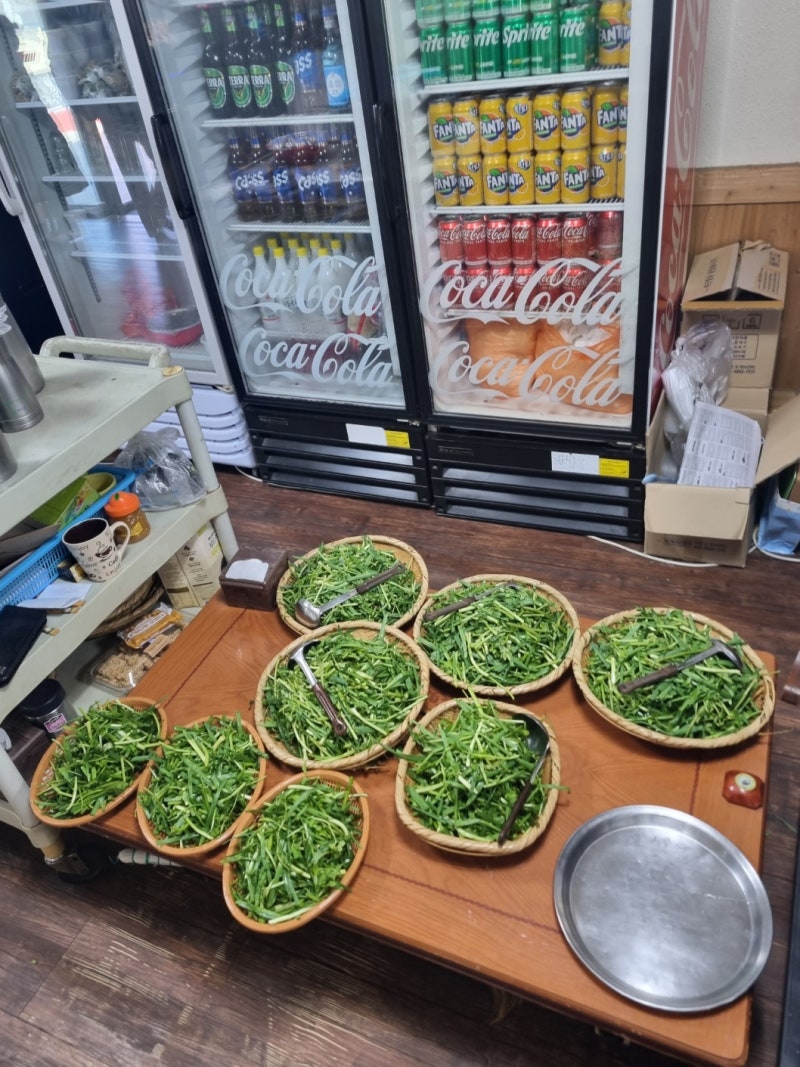 화순도곡 맛집 보양식and건강식 오리탕맛집 청둥오리전골 맛집 화순 유진정 내돈내산 솔직후기 네이버 블로그