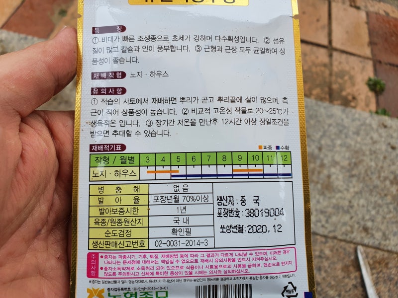 잎 뿌리 우엉 심는시기 씨앗 파종시기 모종 심기 심는법 수확시기 키우기 재배 방법 네이버 블로그