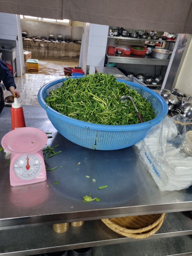 화순도곡 맛집 보양식and건강식 오리탕맛집 청둥오리전골 맛집 화순 유진정 내돈내산 솔직후기 네이버 블로그