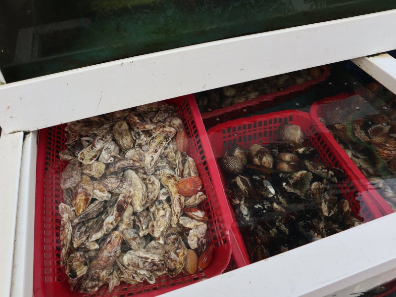 목포 평화광장 맛집 바다조개전골 평광점 푸짐하다 네이버 블로그