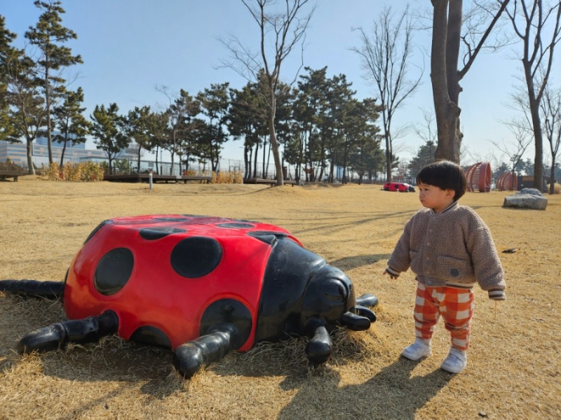 인천송도국제캠핑장 글램핑후기 오션뷰캠핑 예약방법 가격 네이버 블로그