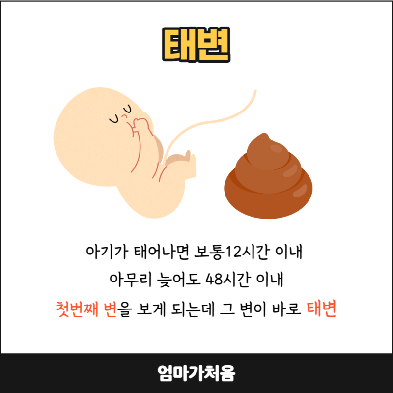 신생아 대변횟수 색깔 굳기 녹변 태변 이행변 모유변 분유변차이 네이버 블로그
