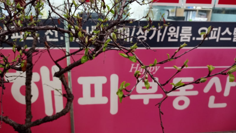 공릉동원룸 태릉입구역 5분거리에 위치한 아주 크고 깨끗한 원룸이예요 태릉입구역원룸 화랑대역원룸 서울여대원룸 공릉역원룸