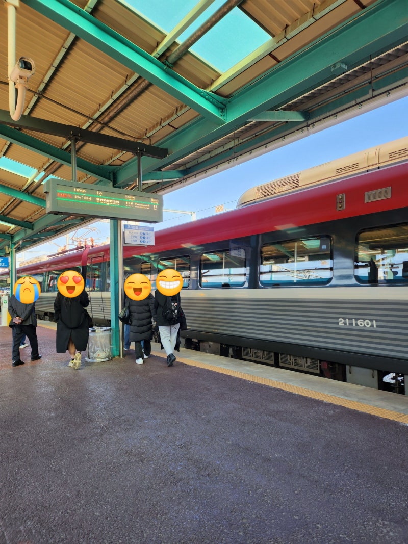 논산 건양대 카페 스타벅스 논산내동dt점 논산 방문 기념 딸기 메뉴 딸기 딜라이트 요거트 블렌디드 네이버 블로그