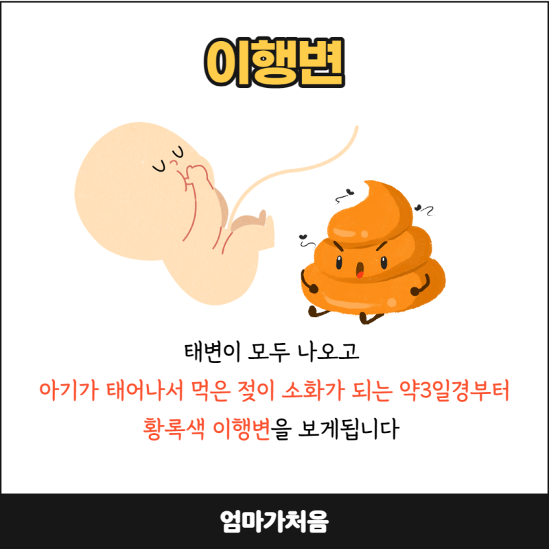 신생아 대변횟수 색깔 굳기 녹변 태변 이행변 모유변 분유변차이 네이버 블로그