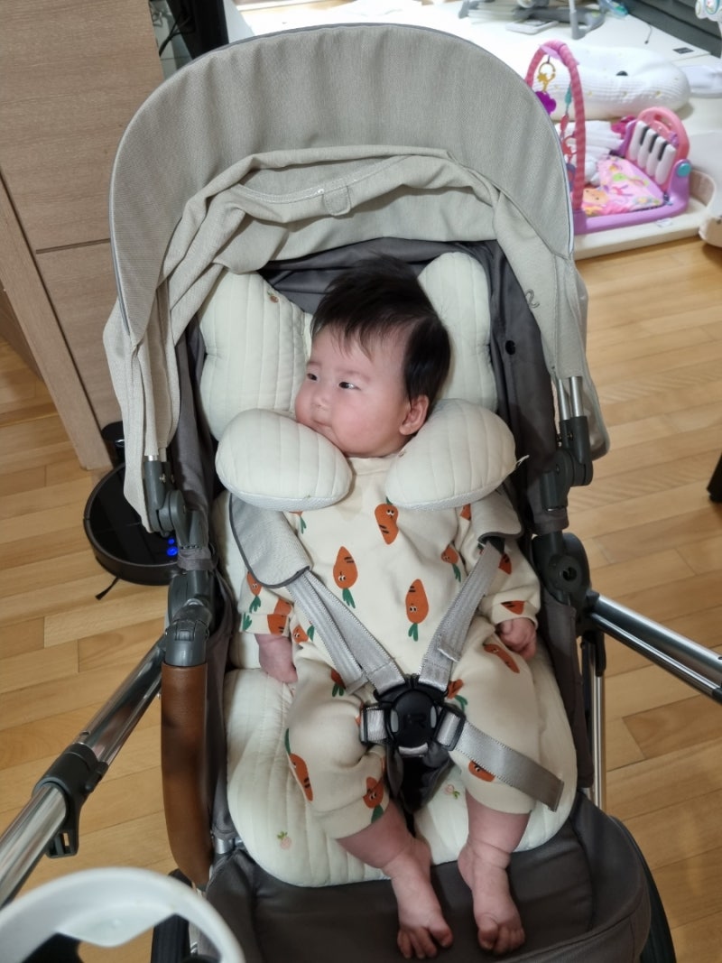 에시앙 모데즈 유모차라이너+목쿠션, 블랭킷 : 유모차 산책 필수품 내돈내산 후기+두달사용 후기 추가 : 네이버 블로그