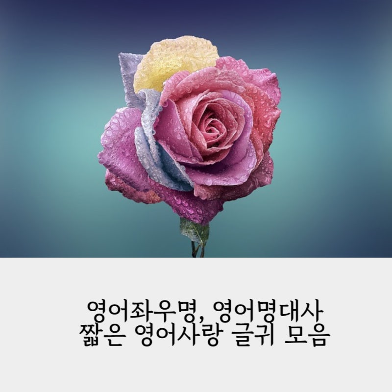 영어좌우명 영어명대사 짧은영어문장 짧은 영어사랑 글귀 모음 네이버 블로그