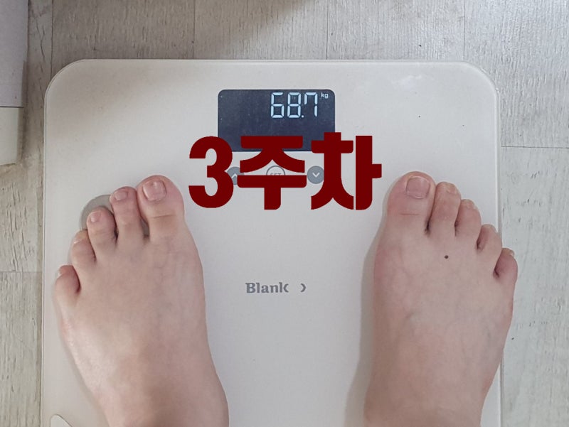 걷기 다이어트 효과 좋아요 3주 차 기록 네이버 블로그