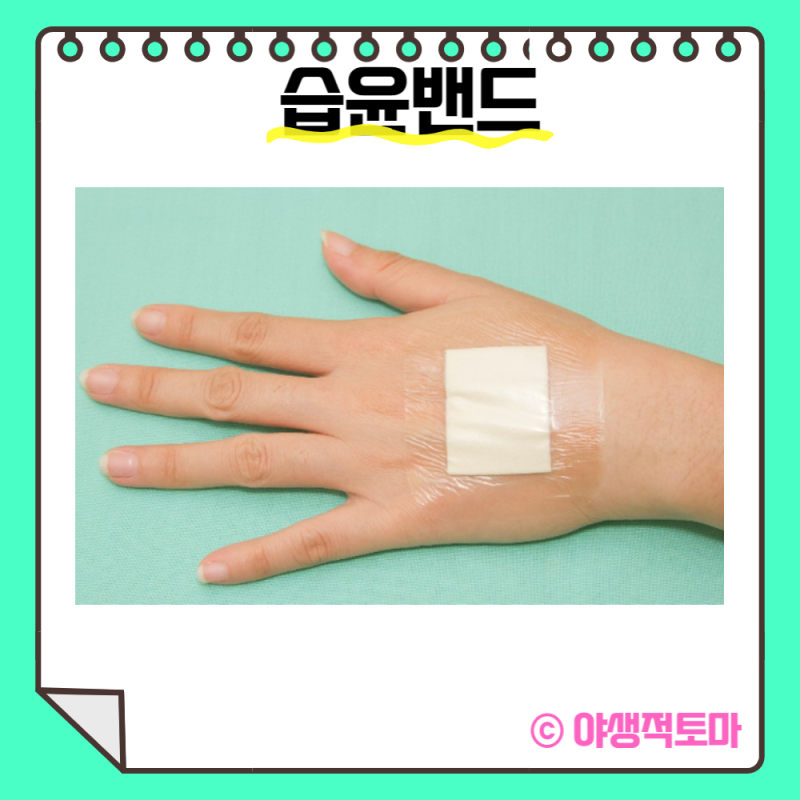 습윤밴드 듀오덤 Vs 테가덤 성분 작용기전 용도 사용방법 장점 단점 네이버 블로그