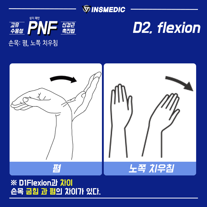 [국제테이핑] 3편 PNF상지 D2 Flexion에 대해 알아보기! : 네이버 블로그