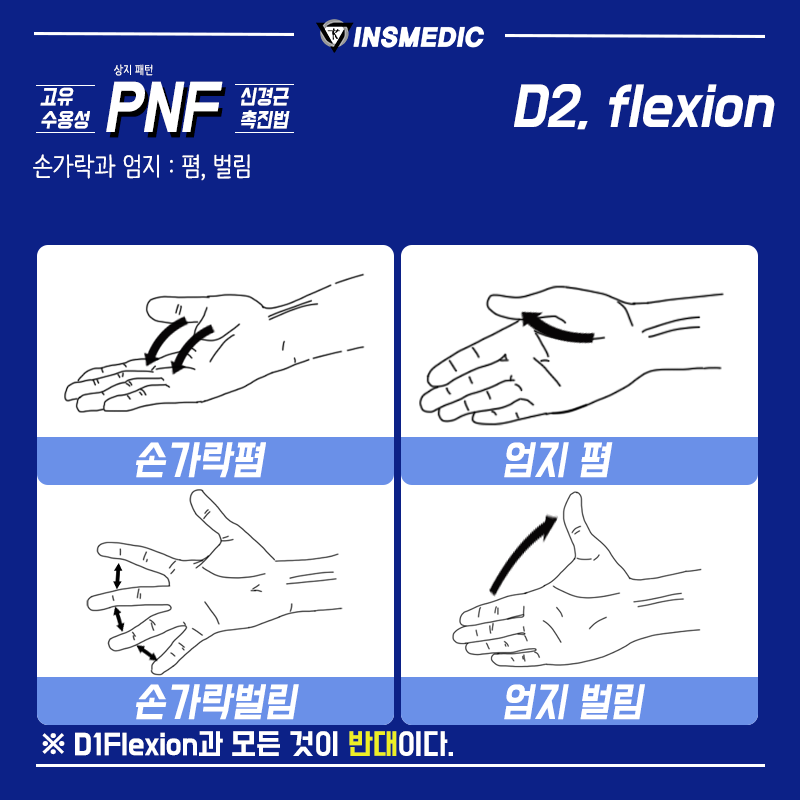 [국제테이핑] 3편 PNF상지 D2 Flexion에 대해 알아보기! : 네이버 블로그