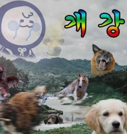 Entp 가 바라보는 Estp 연애 특징 분석 밈 짤 차이 재밌는 양아치 유형 엣팁 네이버 블로그