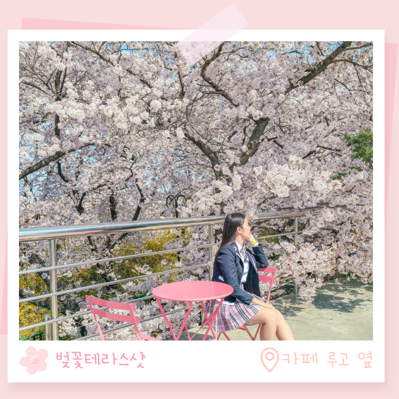 이월드 블라썸 피크닉🌸 전국에서 가장 빠른 벚꽃축제 대구이월드 대구가볼만한곳 네이버 블로그