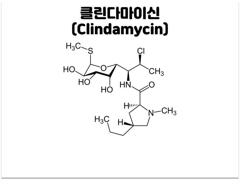 크레오신티 크레오신 외용액 여드름 치료제 항생제 처방 성분 효능 효과 사용법 부작용 주의사항 블랙헤드 좁쌀 네이버 블로그