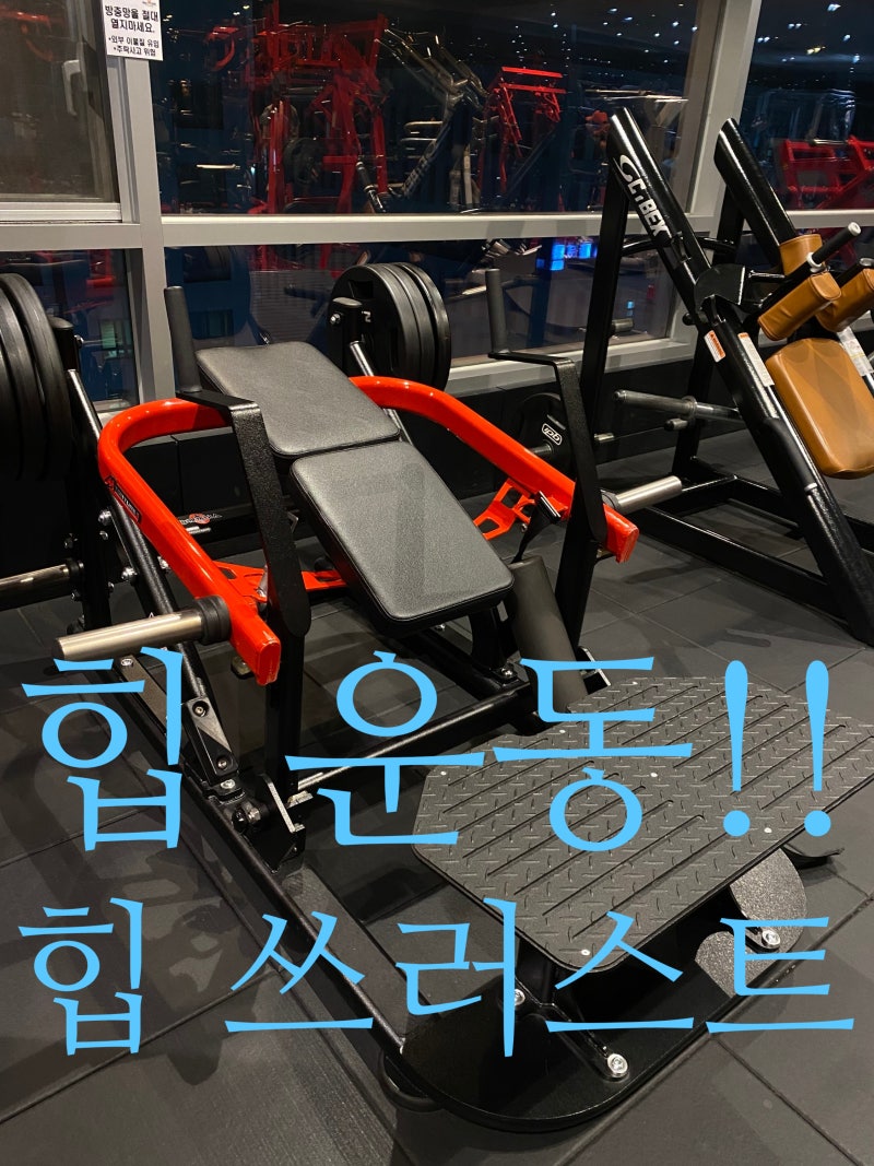 마곡 Pt 에이블짐 마곡나루점 벨라 트레이너의 힙 운동 힙 쓰러스트 네이버 블로그