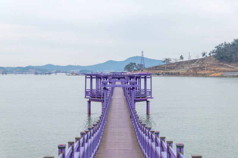 전남 가볼만한곳 신안 퍼플교 퍼플섬안좌도 반월도 박지도 여행지 추천 네이버 블로그