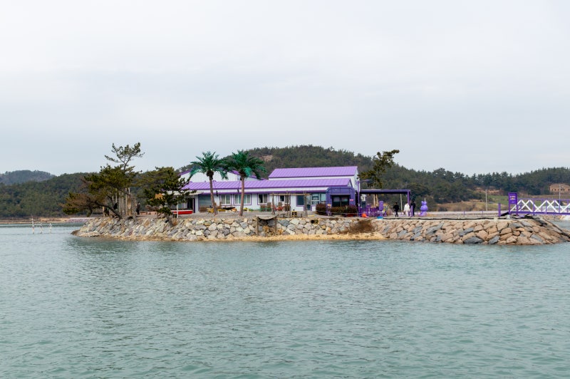 전남 가볼만한곳 신안 퍼플교 퍼플섬안좌도 반월도 박지도 여행지 추천 네이버 블로그